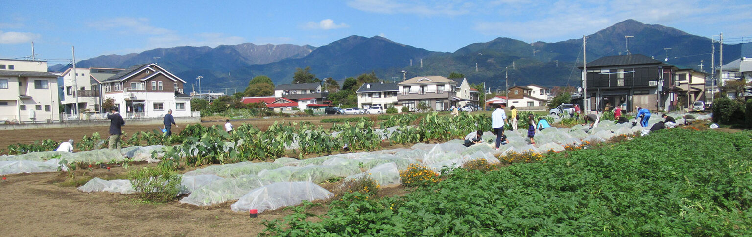 Coasys ノート | Coasys ノート：農とふれあい農とつながるための情報や雑記